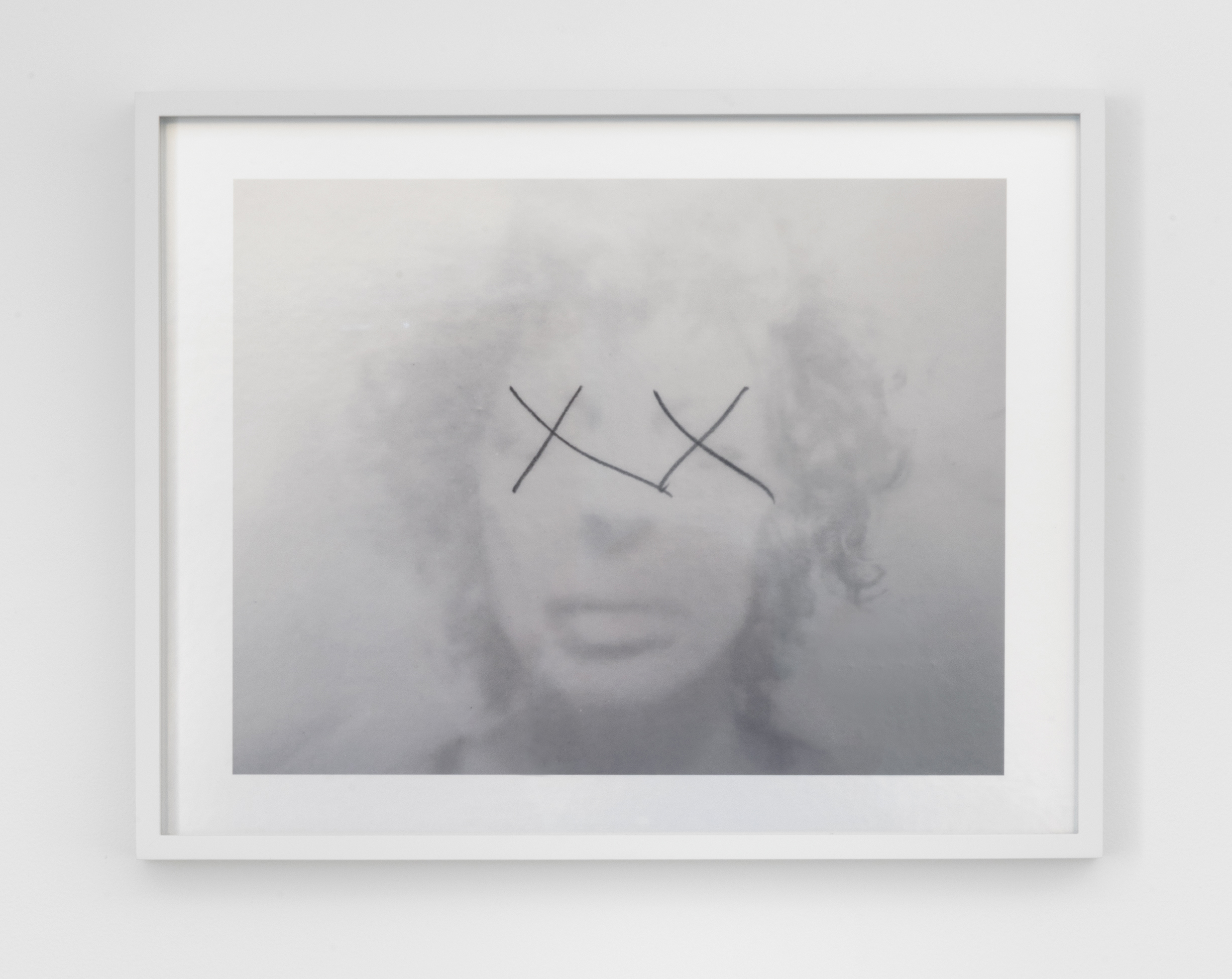 Magenta Plains | Barbara Ess