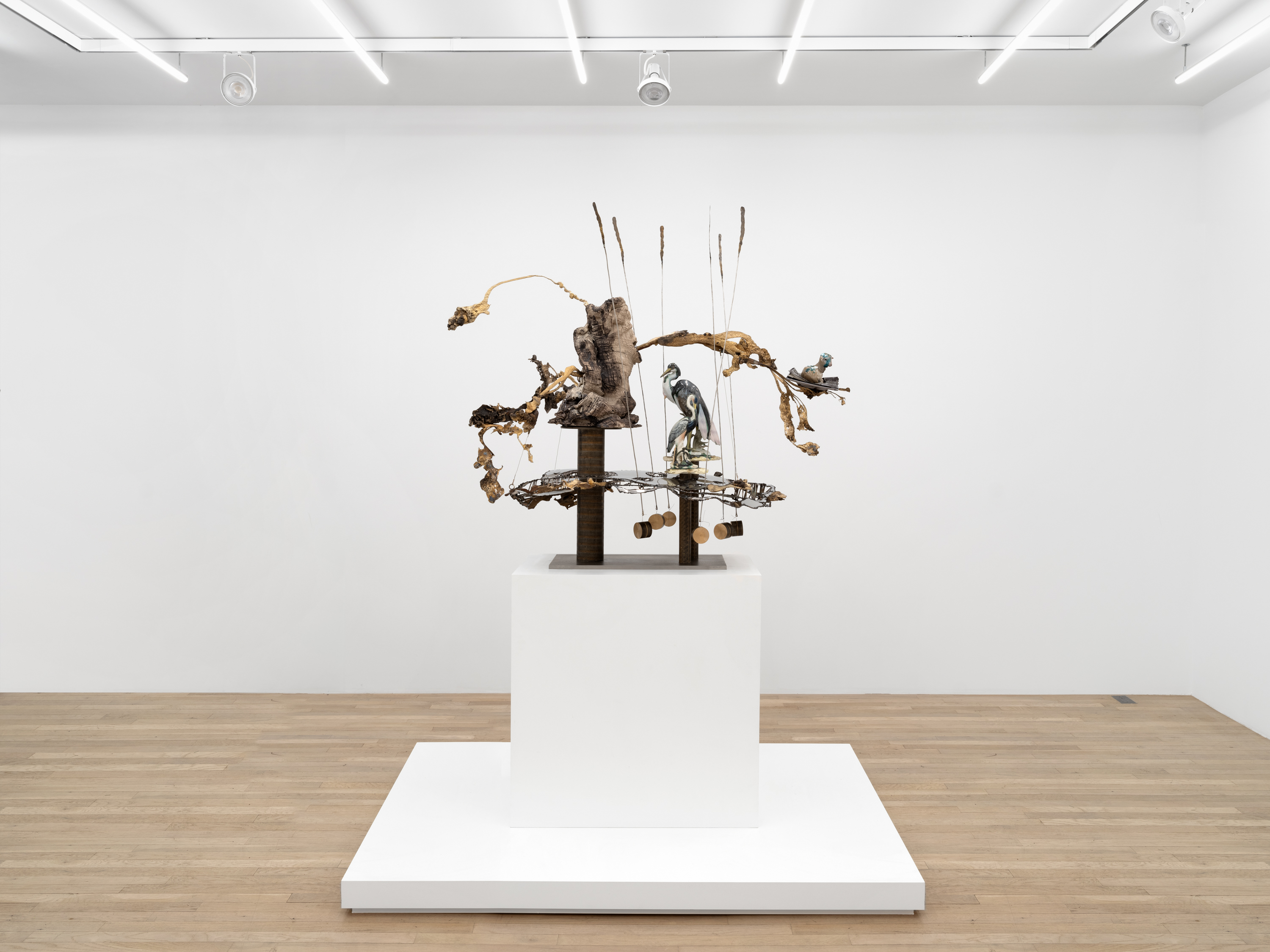 Magenta Plains | Jon Kessler